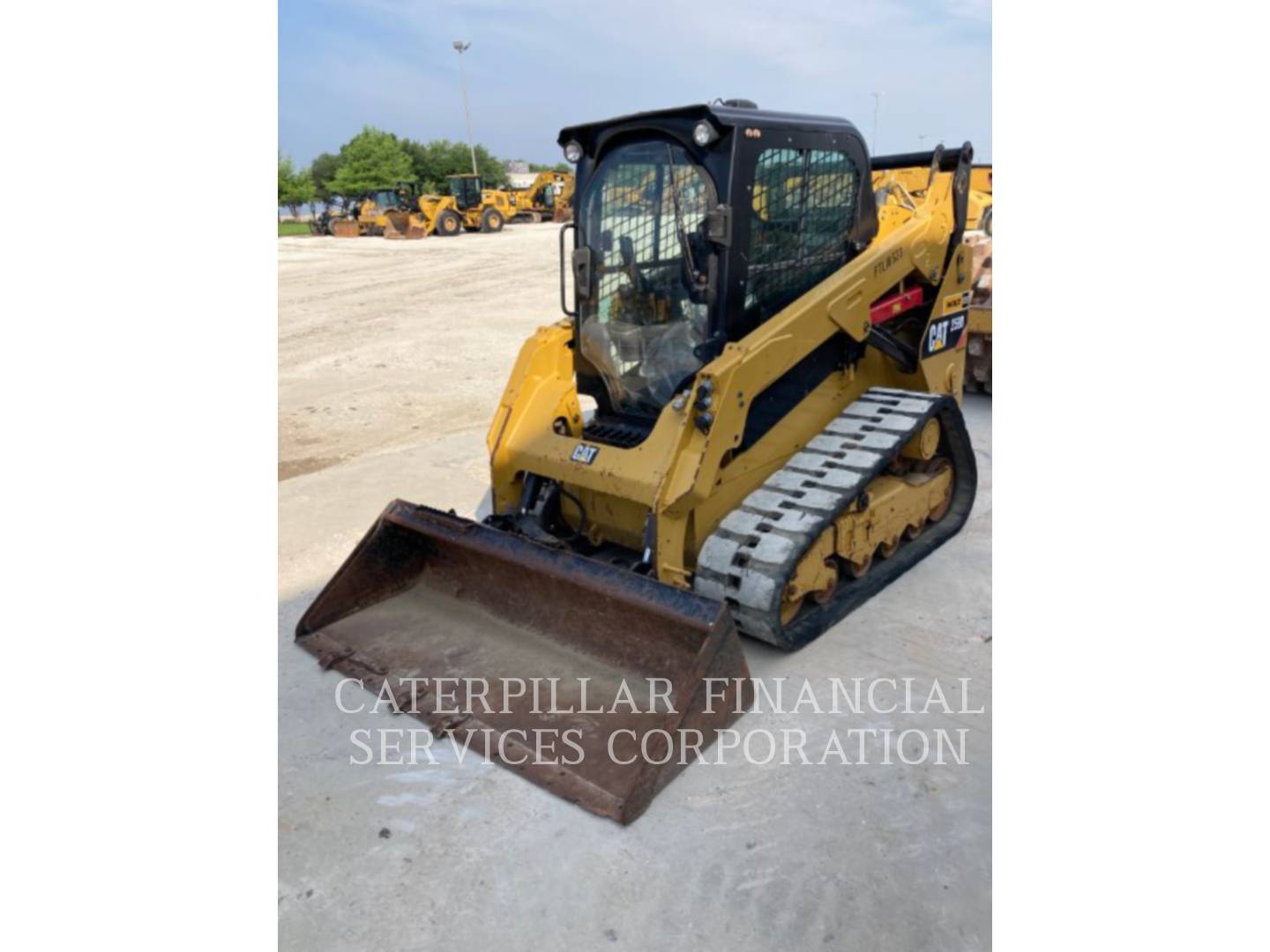 259D - Hawthorne Cat