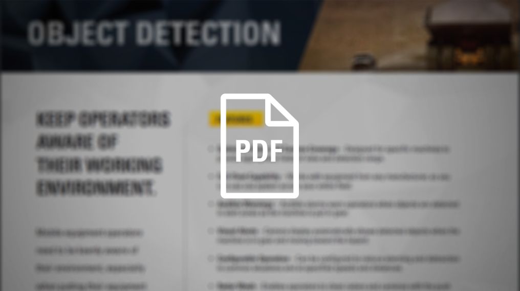 Cat Detect For Object Detection Caterpillar