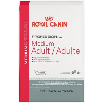 The Adult Dog Life Stage | Royal Canin Canada
