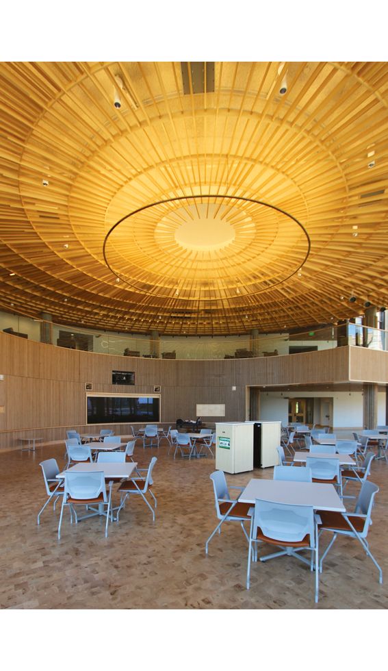 Washington University Brown School of Social Work | Armstrong Ceiling ...