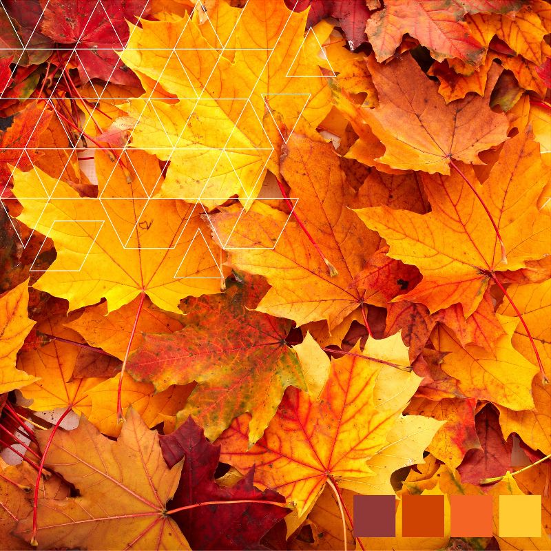 DESIGNFlex Shapes - Pattern SH 13 | Armstrong Ceiling Solutions ...