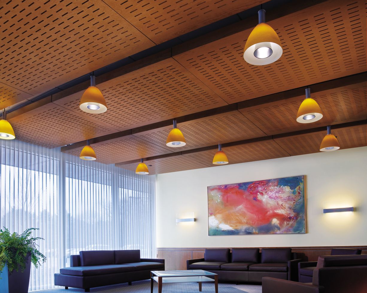 Sepracor Inc. | Armstrong Ceiling Solutions – Commercial