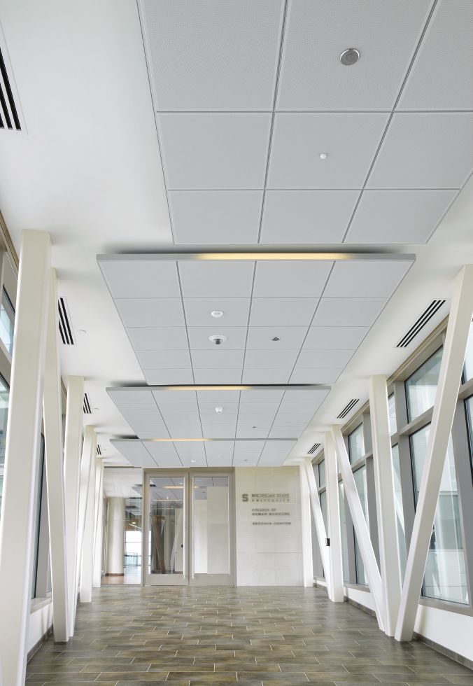 Secchia Center- Michigan State University College of Human Medicine ...