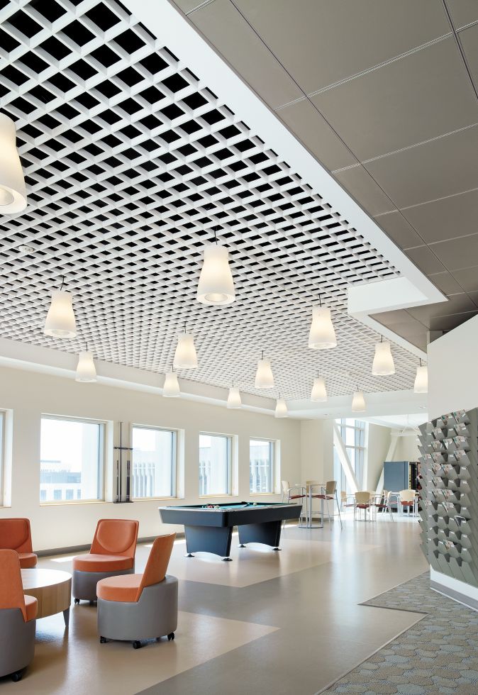 Secchia Center- Michigan State University College of Human Medicine ...