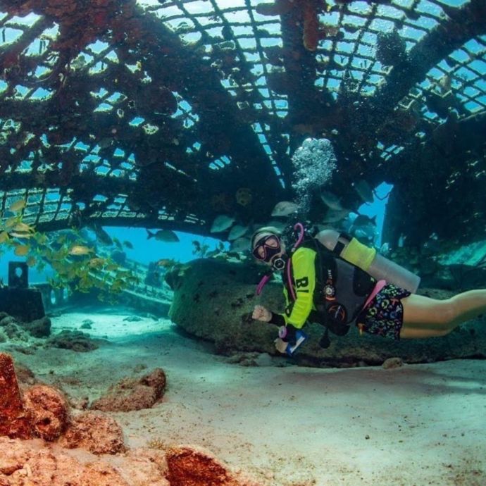 Two-Tank Scuba Boat Dive by Spur Experiences® (Turks and Caicos) | Bed ...