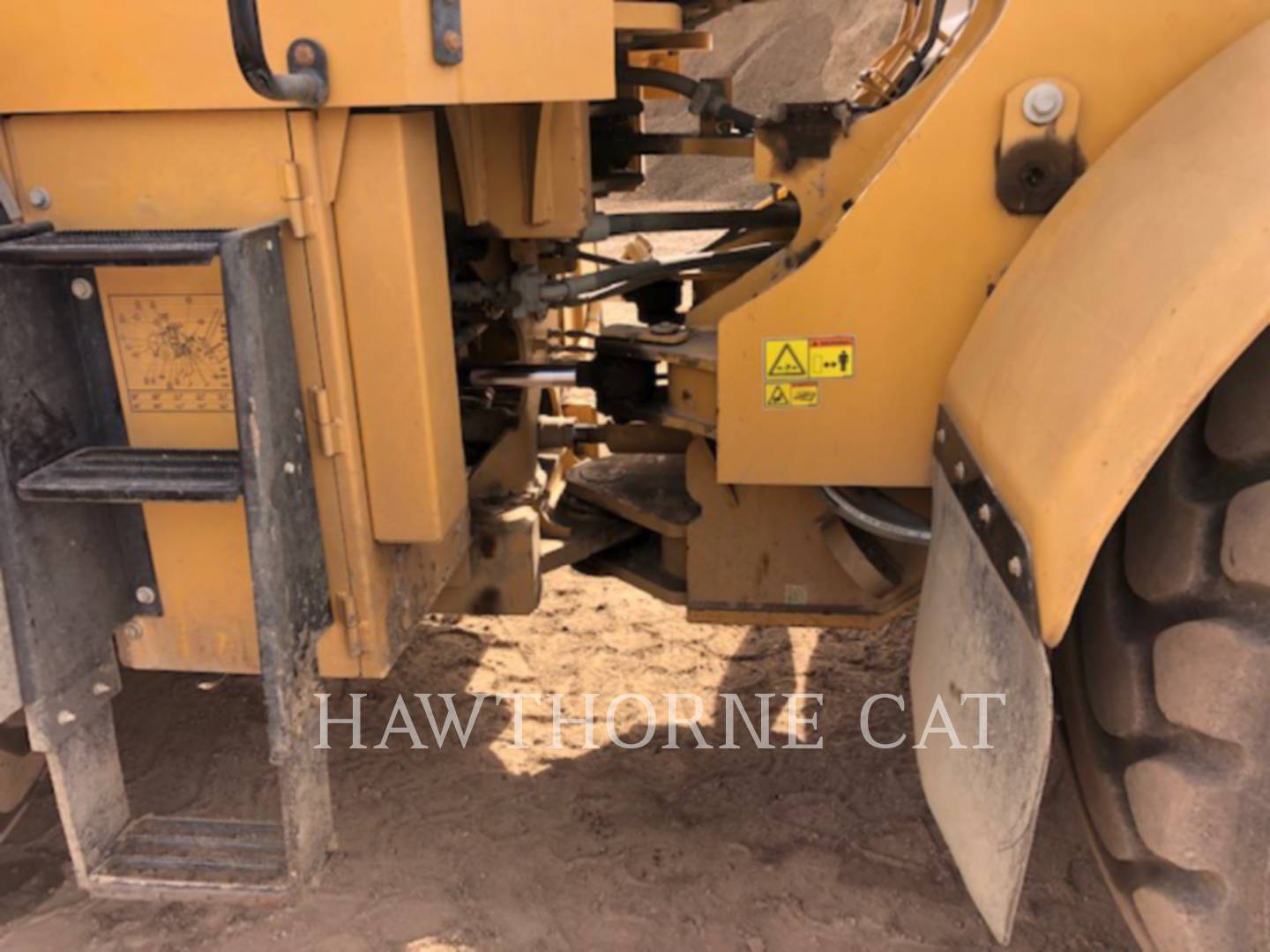 966K - Hawthorne Cat