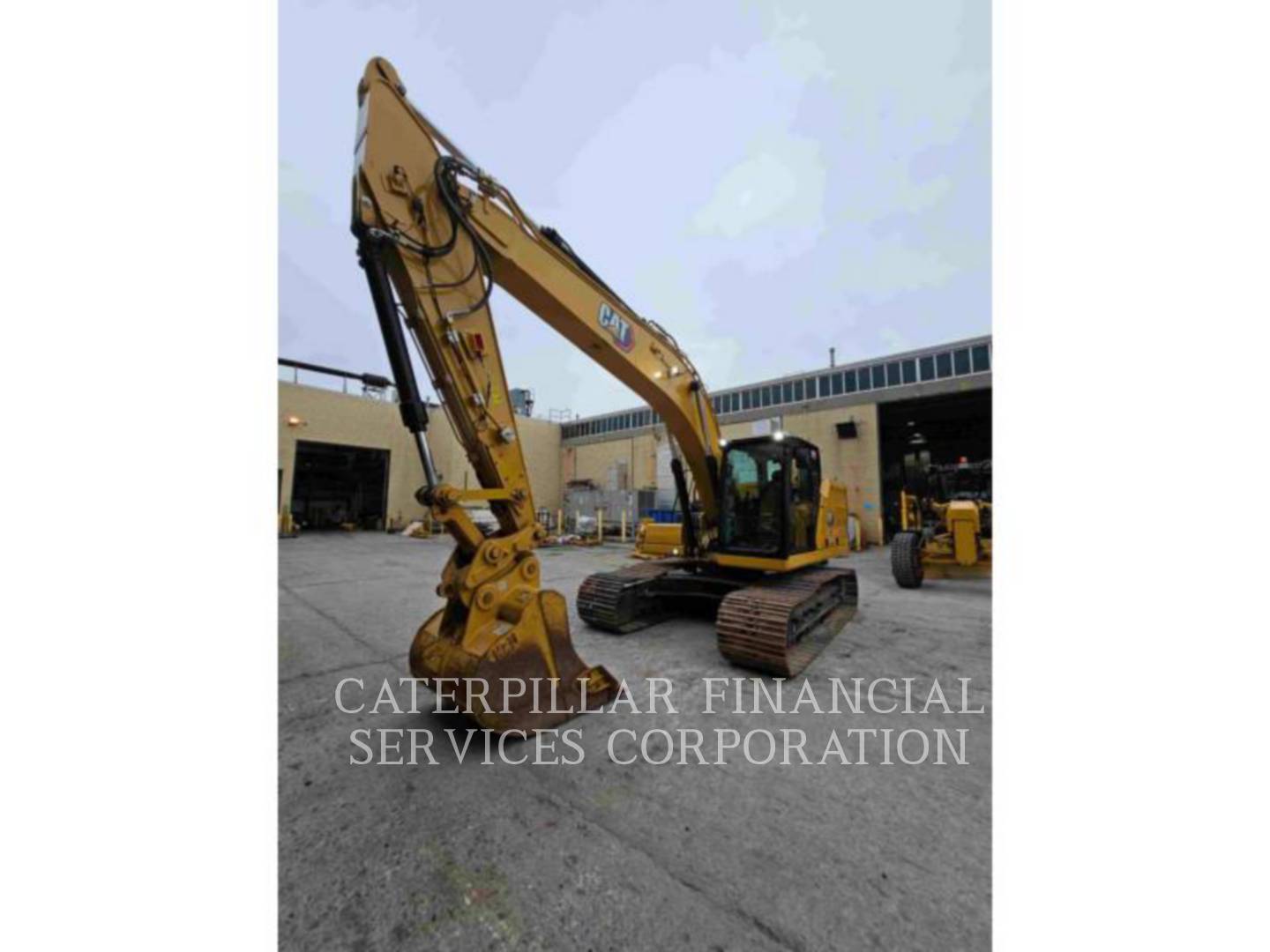 320-07 - Hawthorne Cat