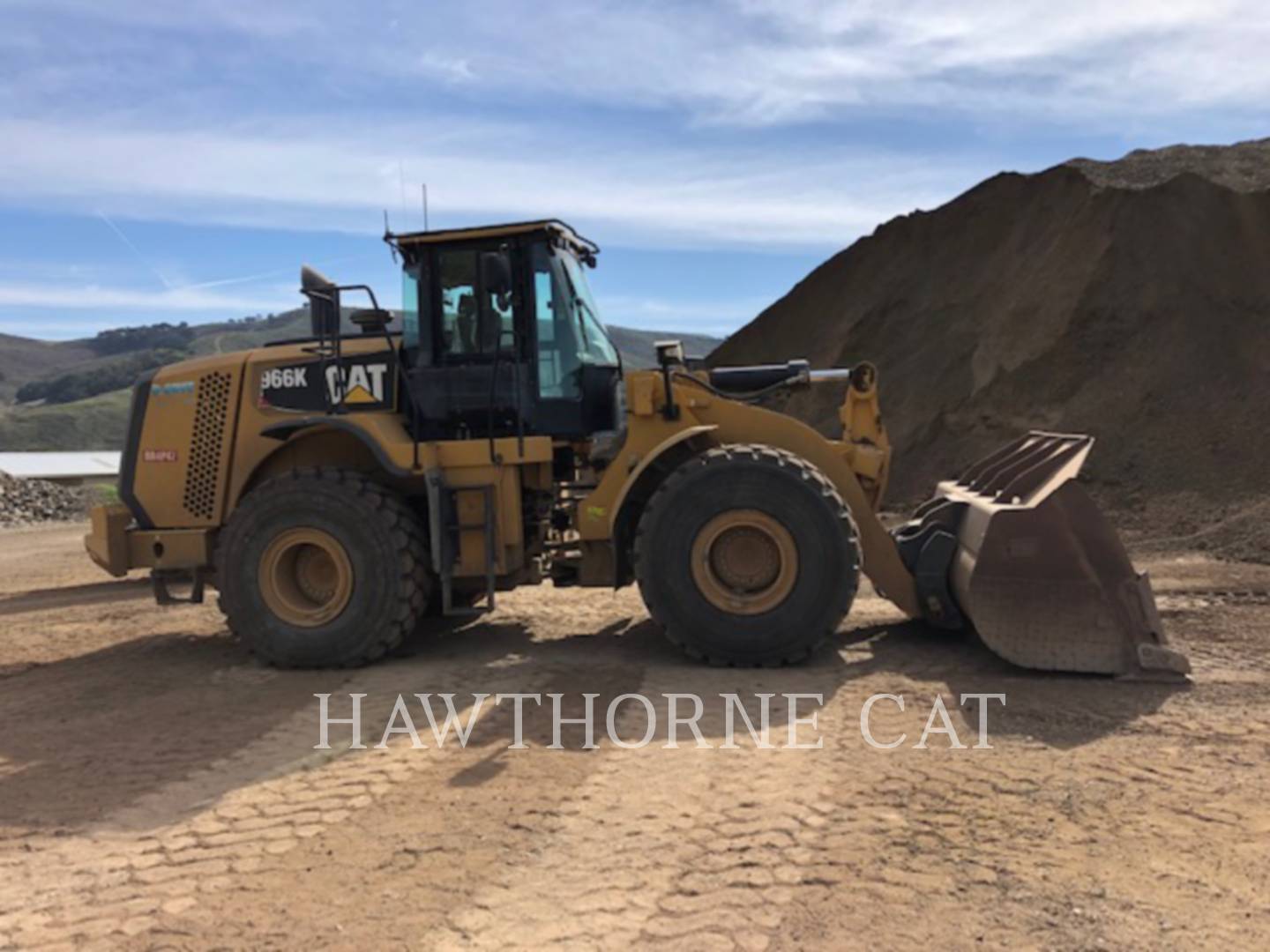 966K - Hawthorne Cat
