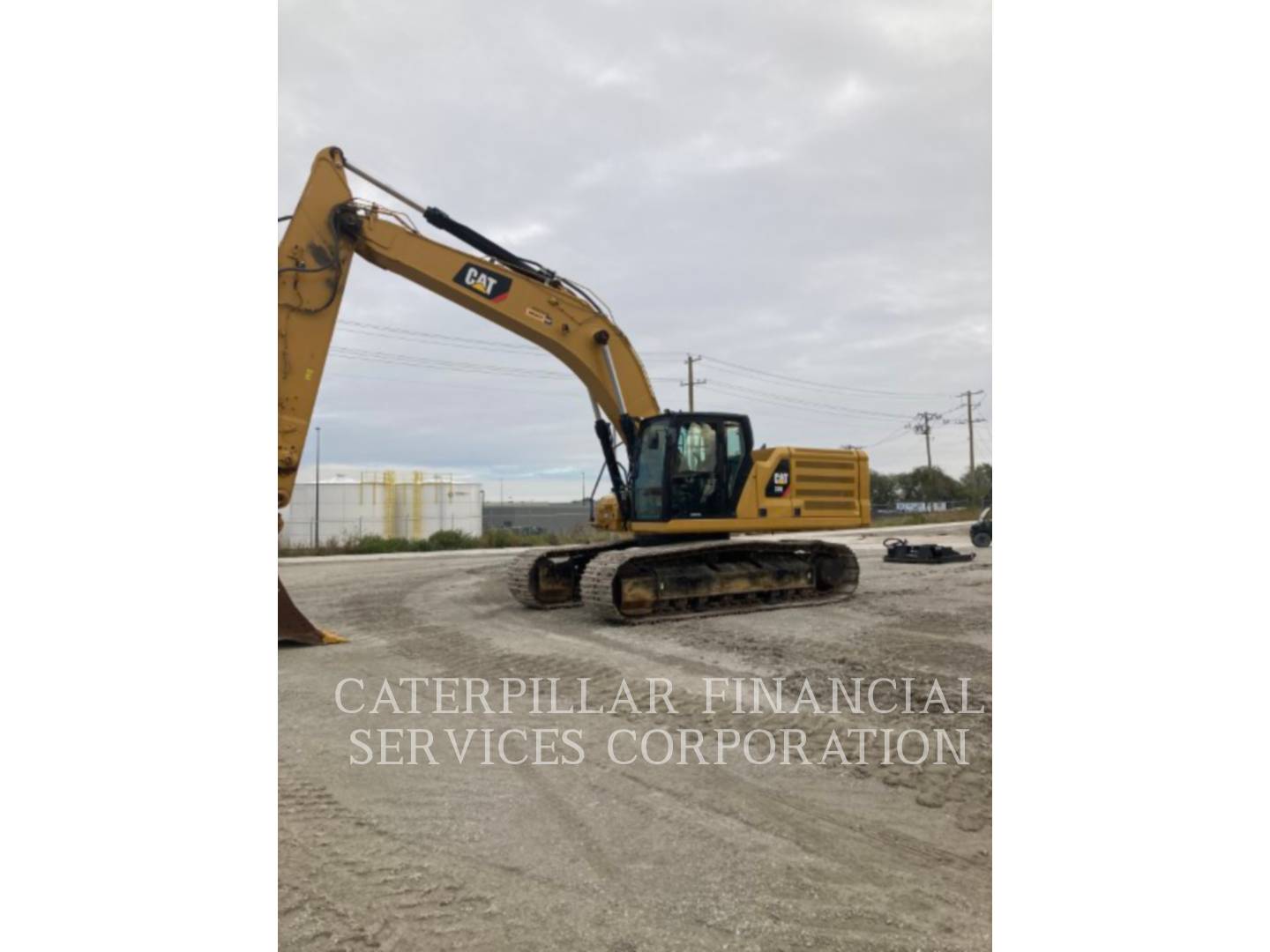 33607 - Hawthorne Cat