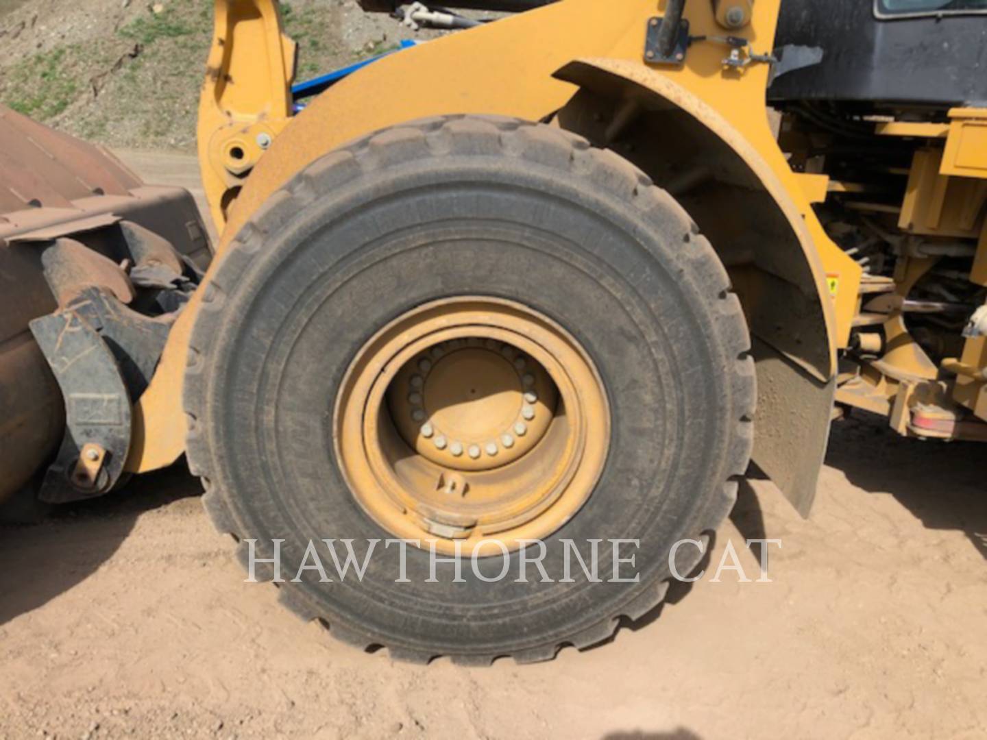 966K - Hawthorne Cat