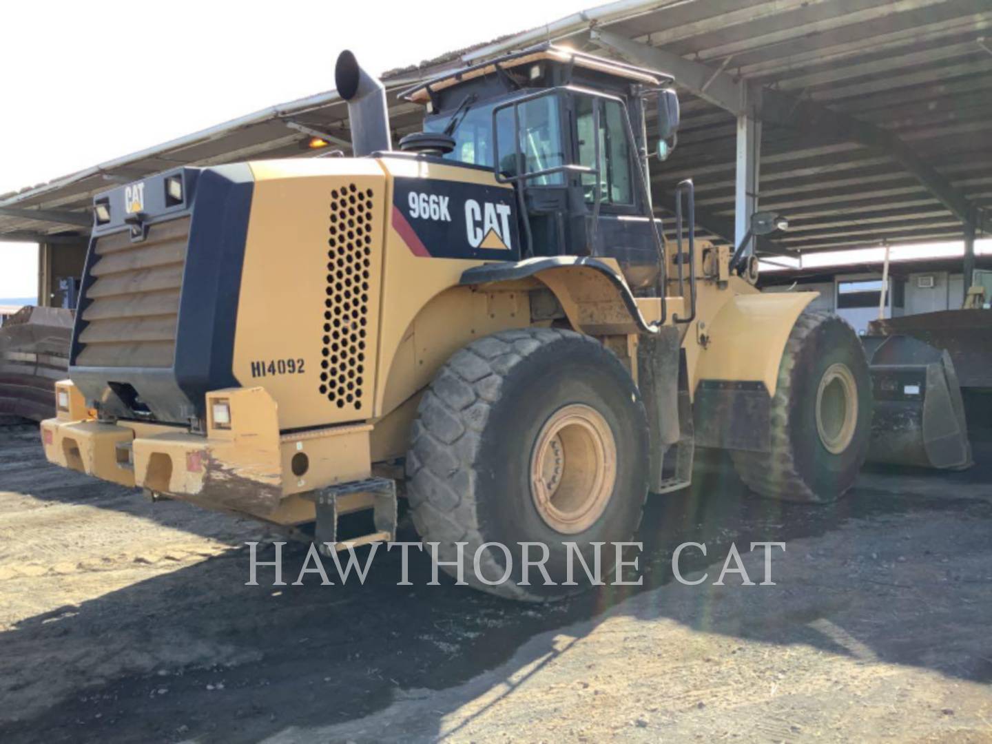 966K - Hawthorne Cat