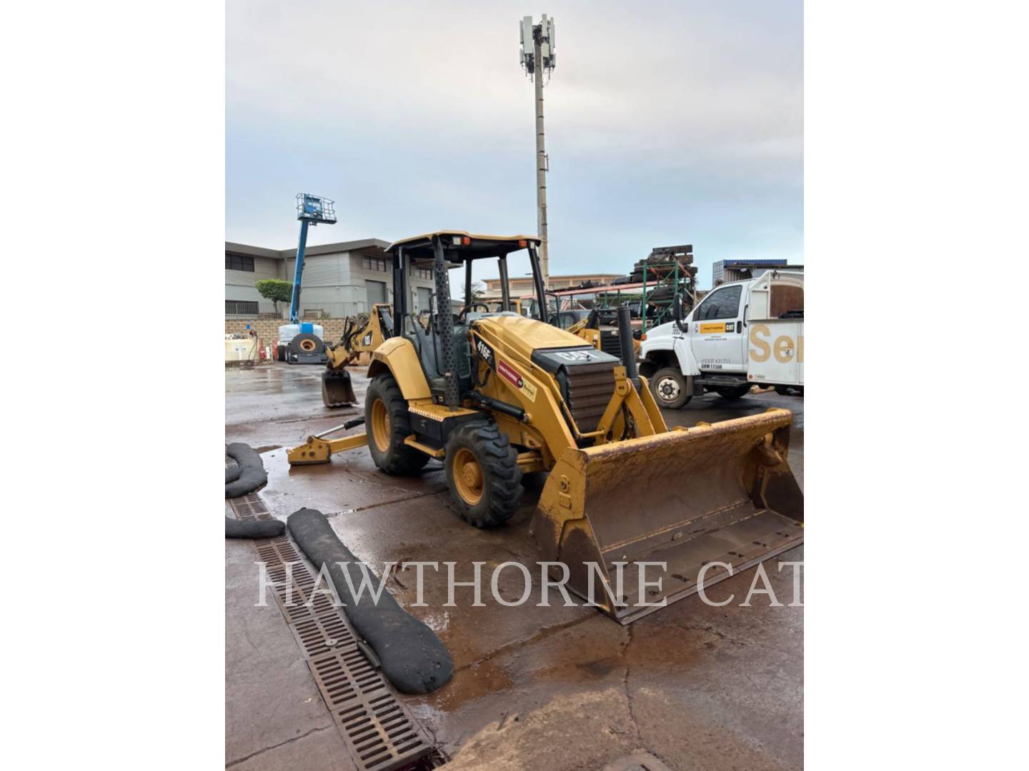 416F2 - Hawthorne Cat