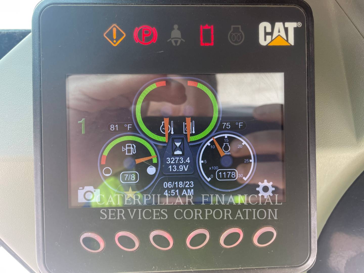 259D3 - Hawthorne Cat