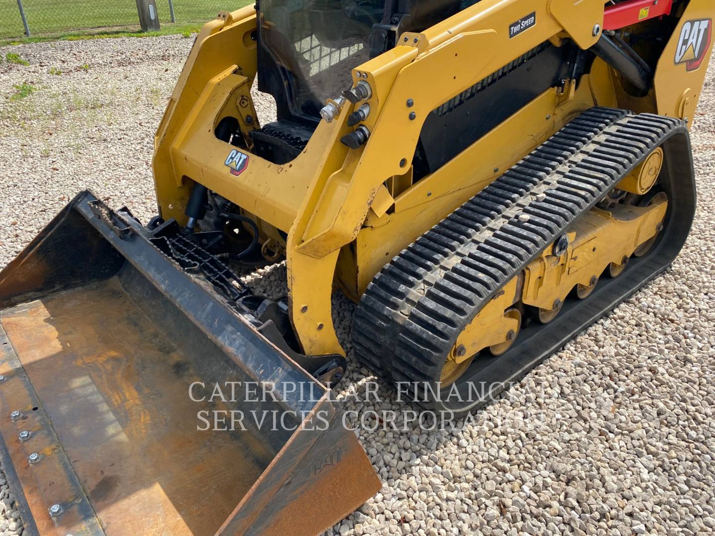 259D3 - Hawthorne Cat