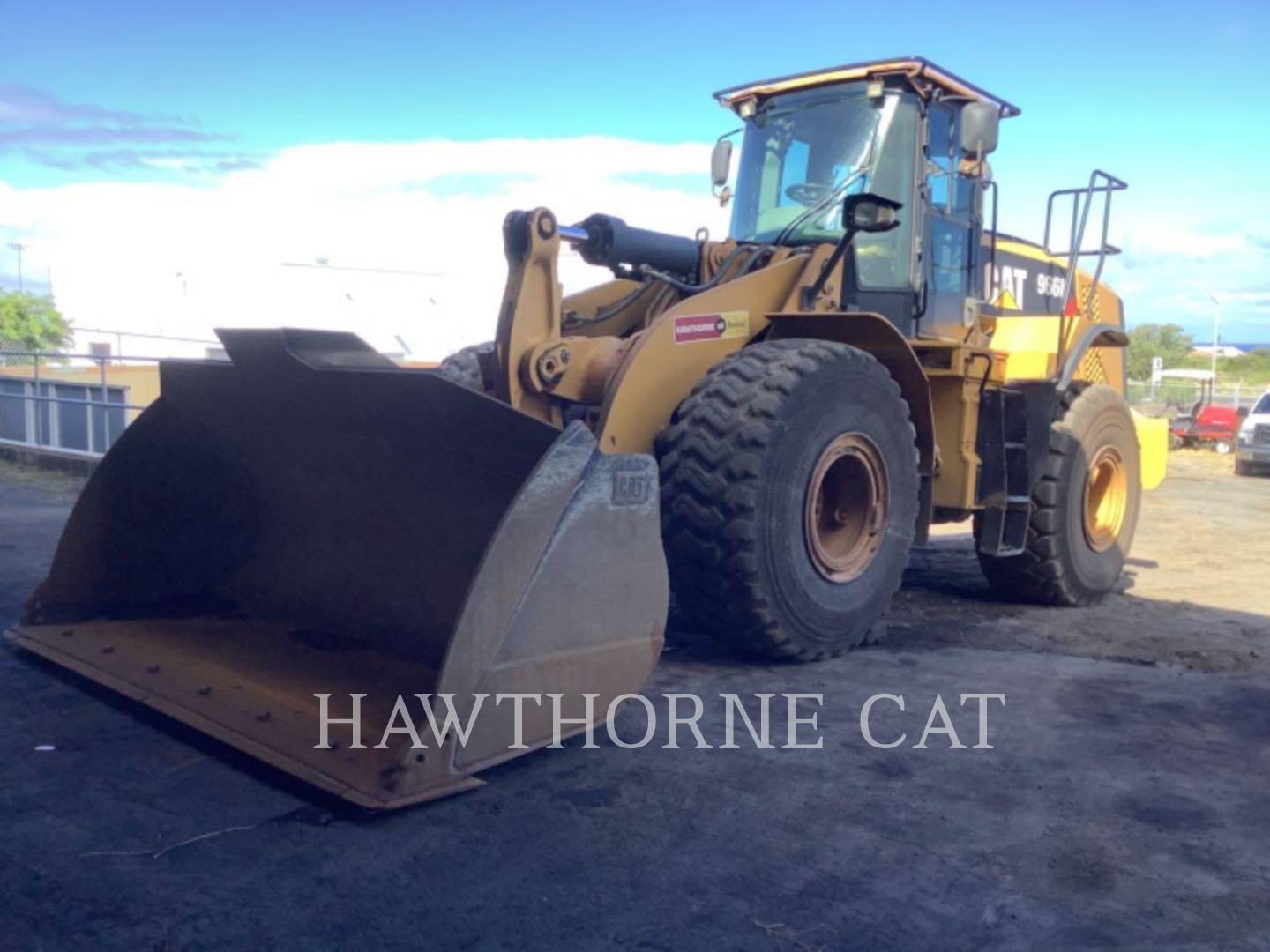 966K - Hawthorne Cat