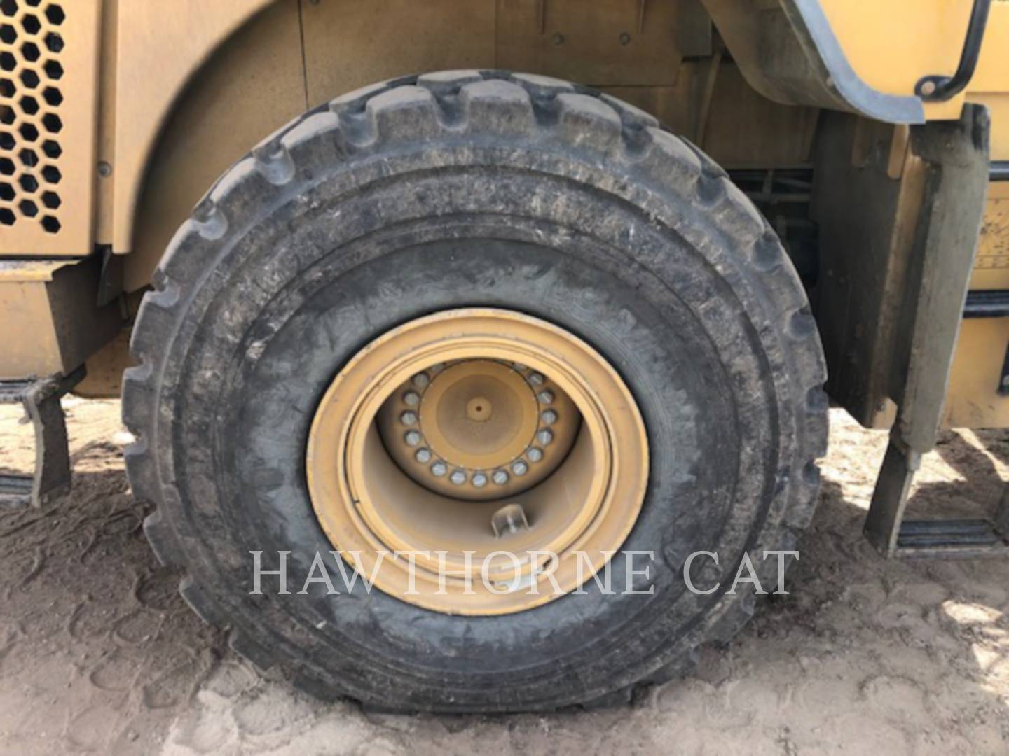 966K - Hawthorne Cat