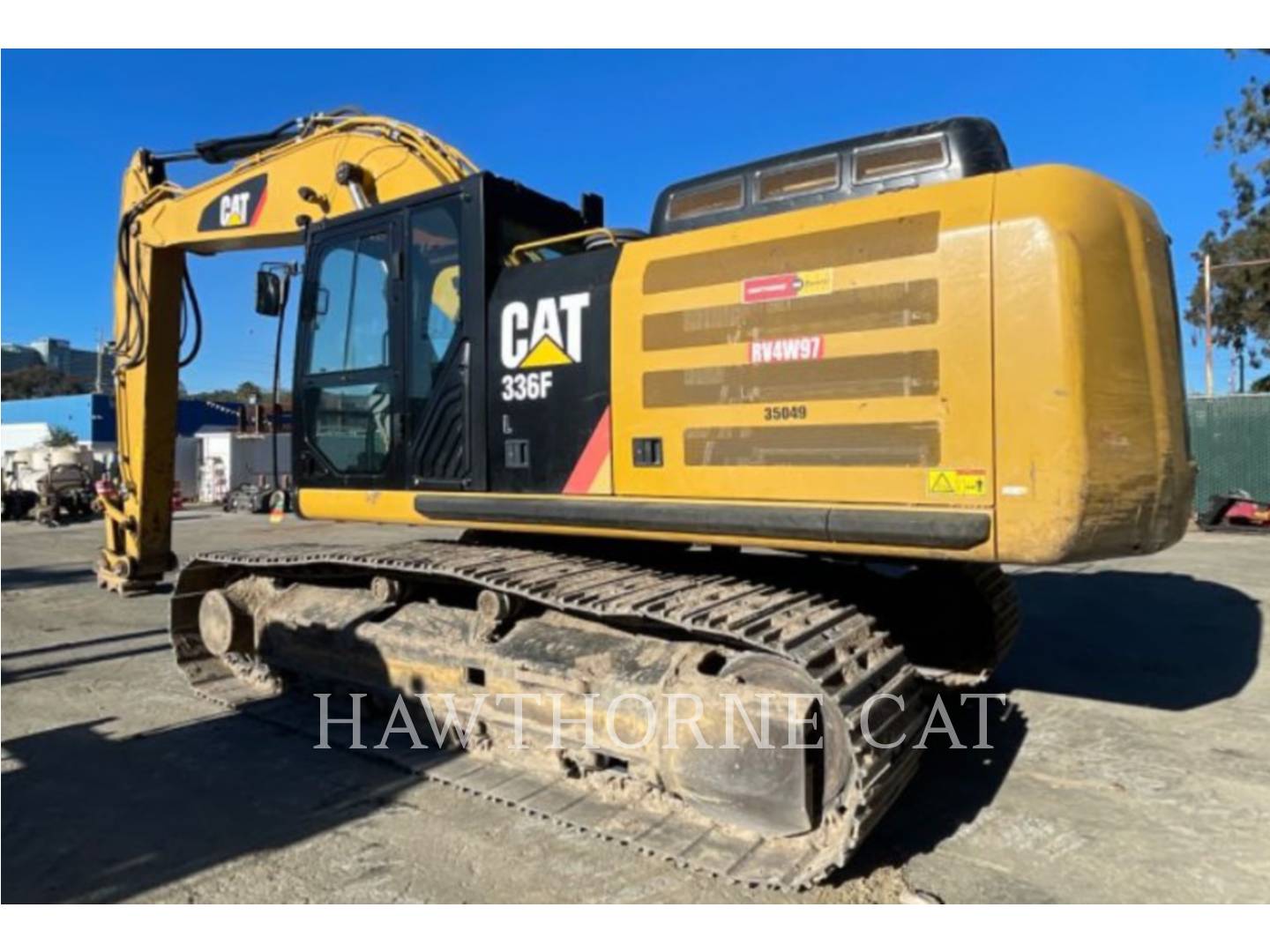 336F - Hawthorne Cat