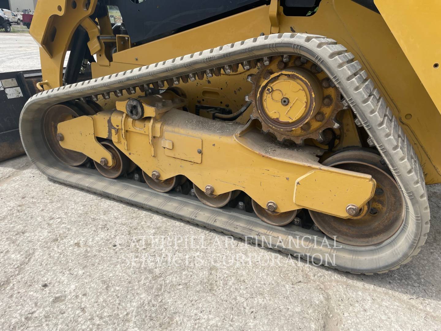 259D3 - Hawthorne Cat