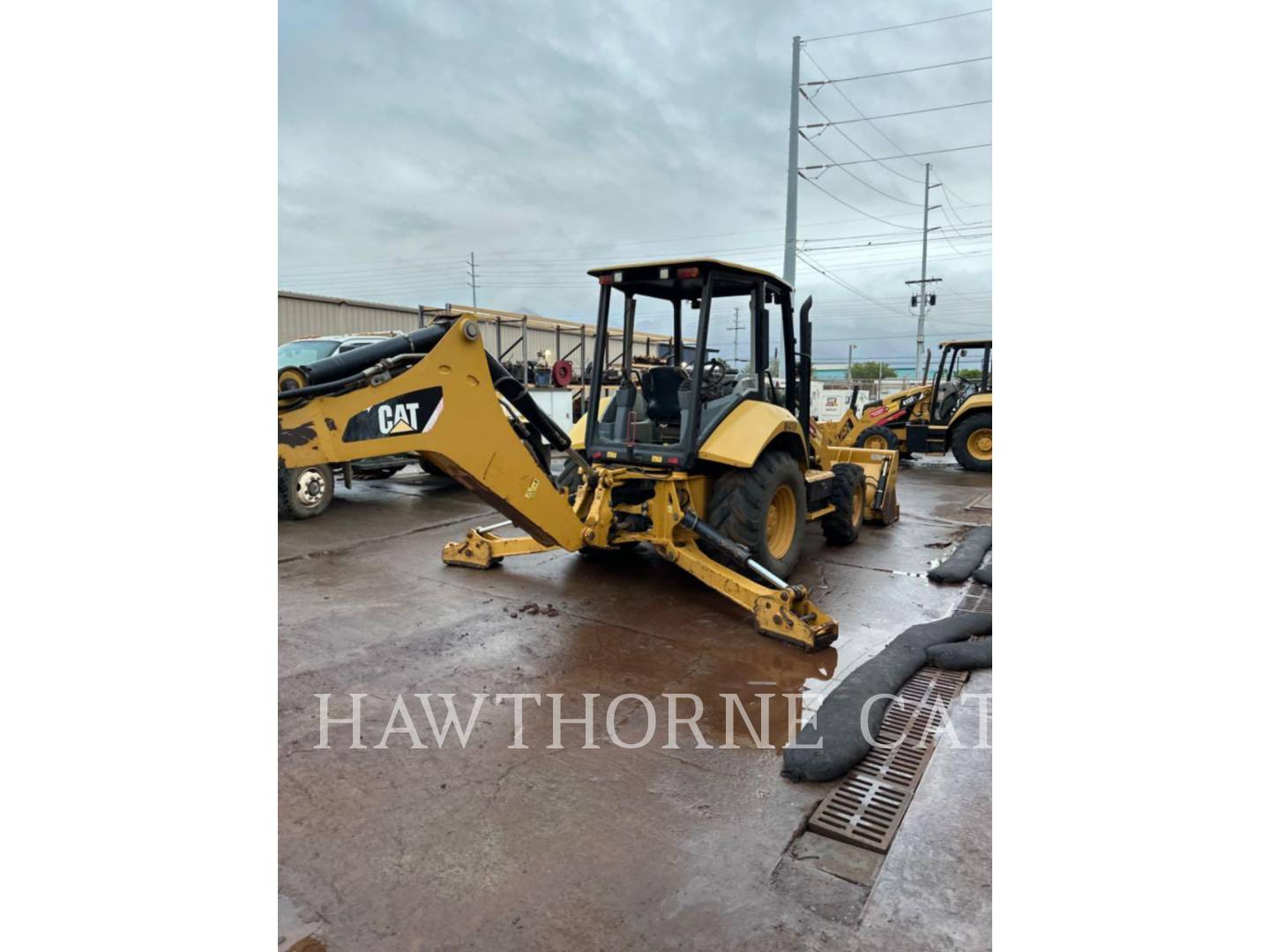 416F2 - Hawthorne Cat