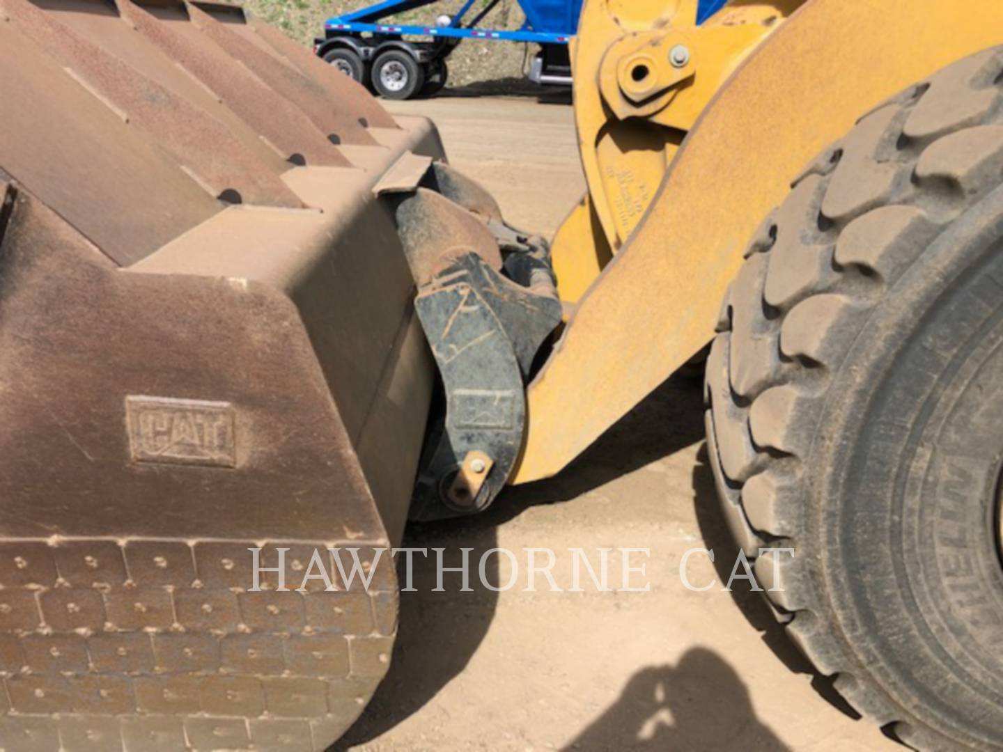 966K - Hawthorne Cat