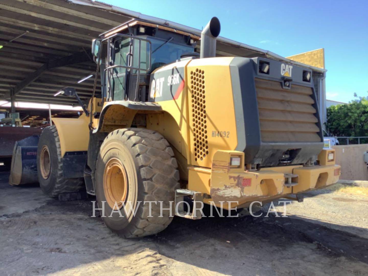 966K - Hawthorne Cat