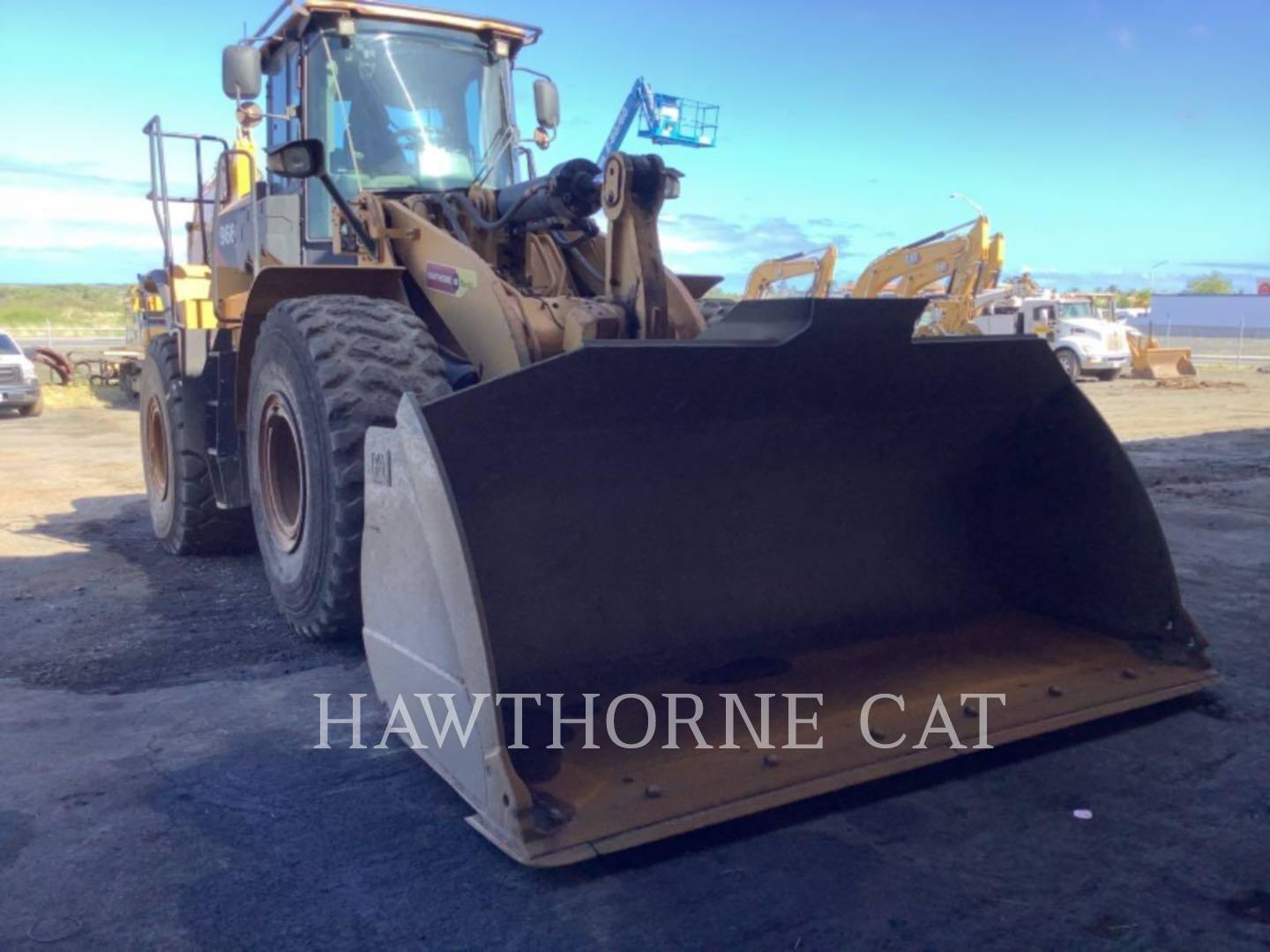 966K - Hawthorne Cat
