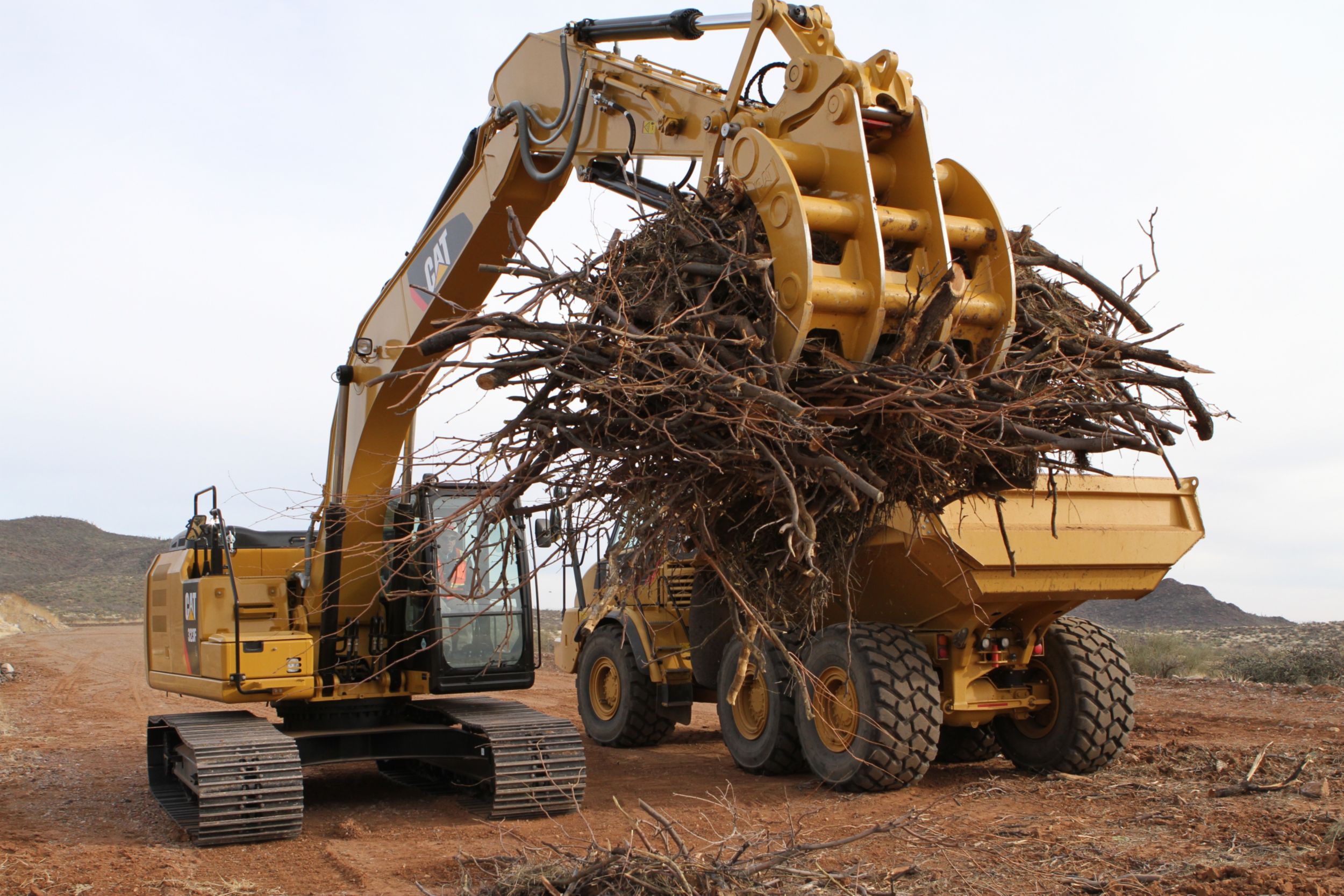 DB-linkage, 3-tine - Hawthorne Cat