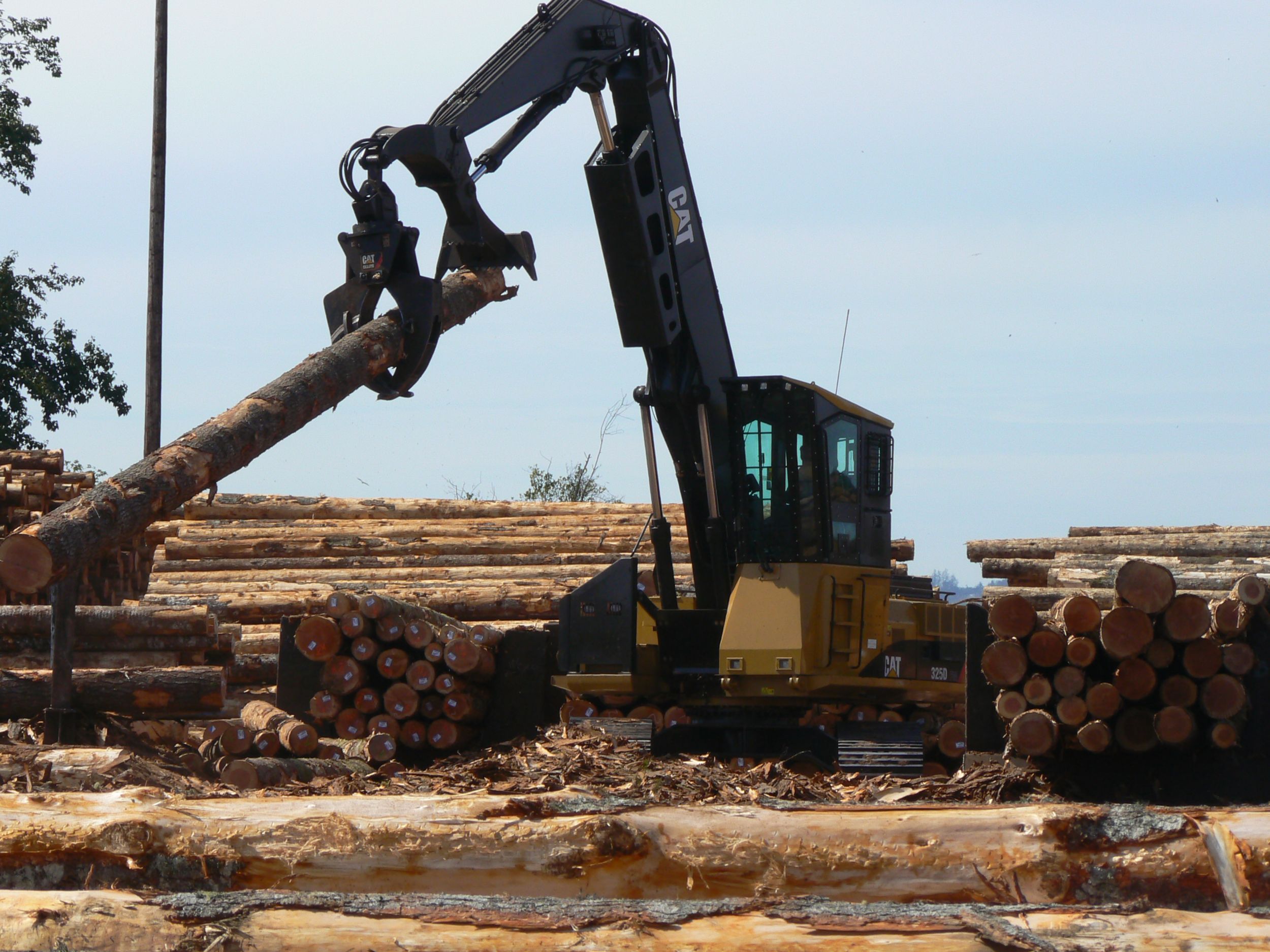 325D FM Forest Machine - Altorfer Cat