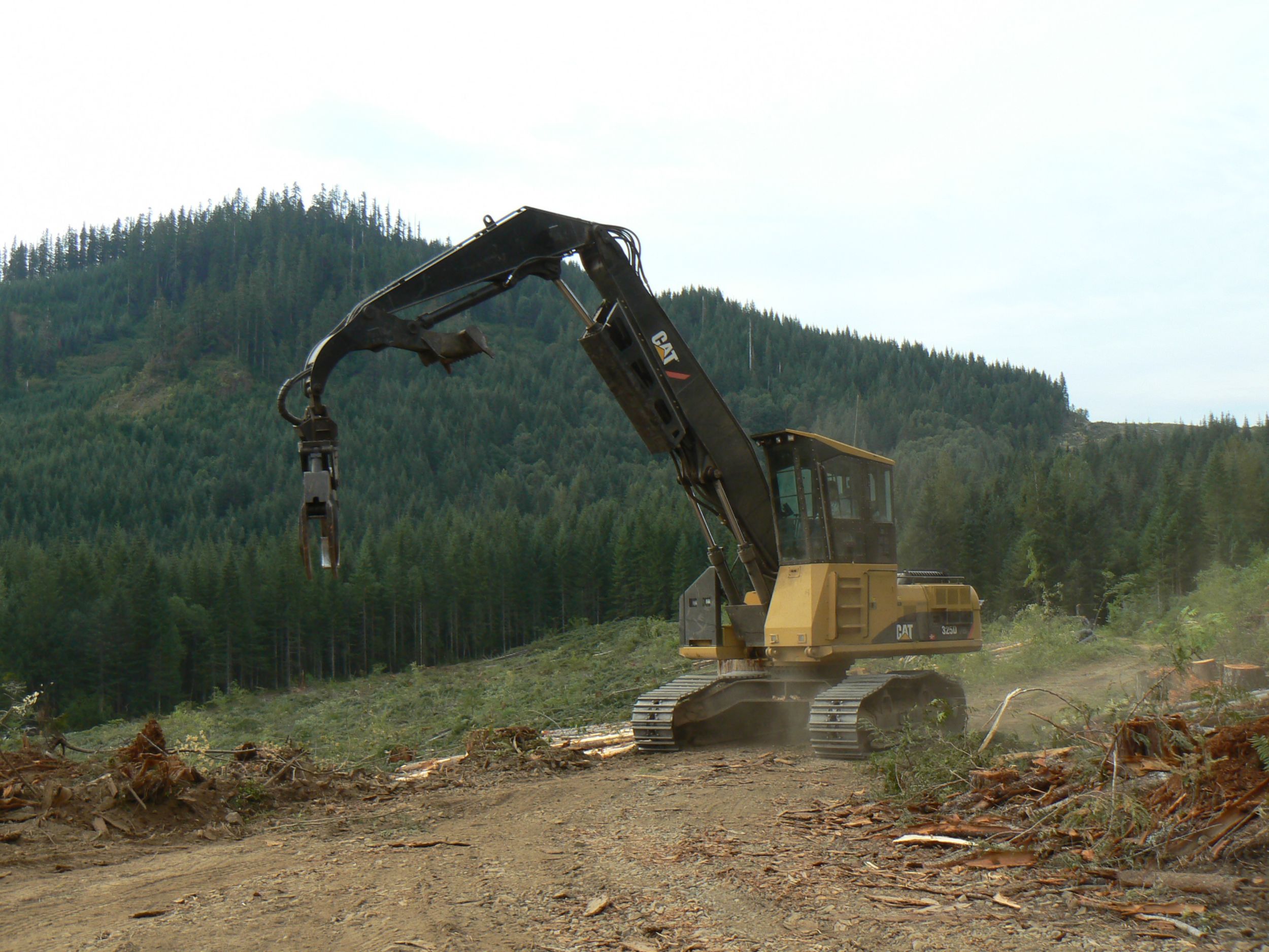 325D FM Forest Machine - Altorfer Cat