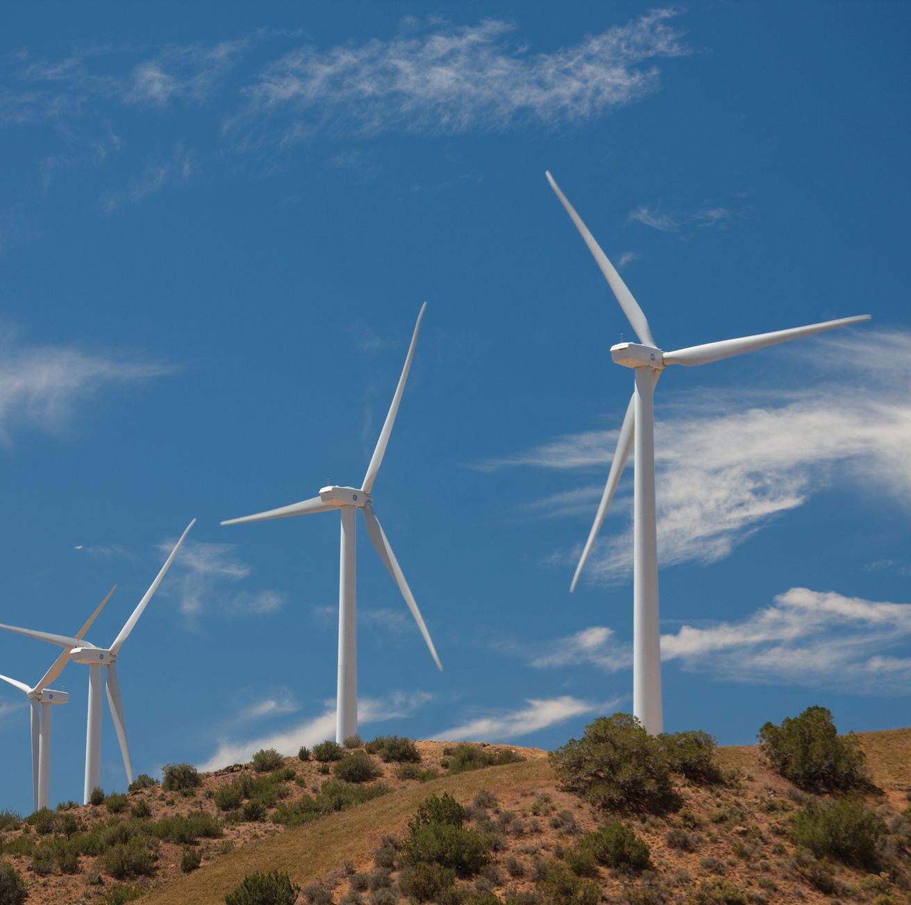 Cat 973D WH Cargadores de cadenas de manipulación de basura | Caterpillar