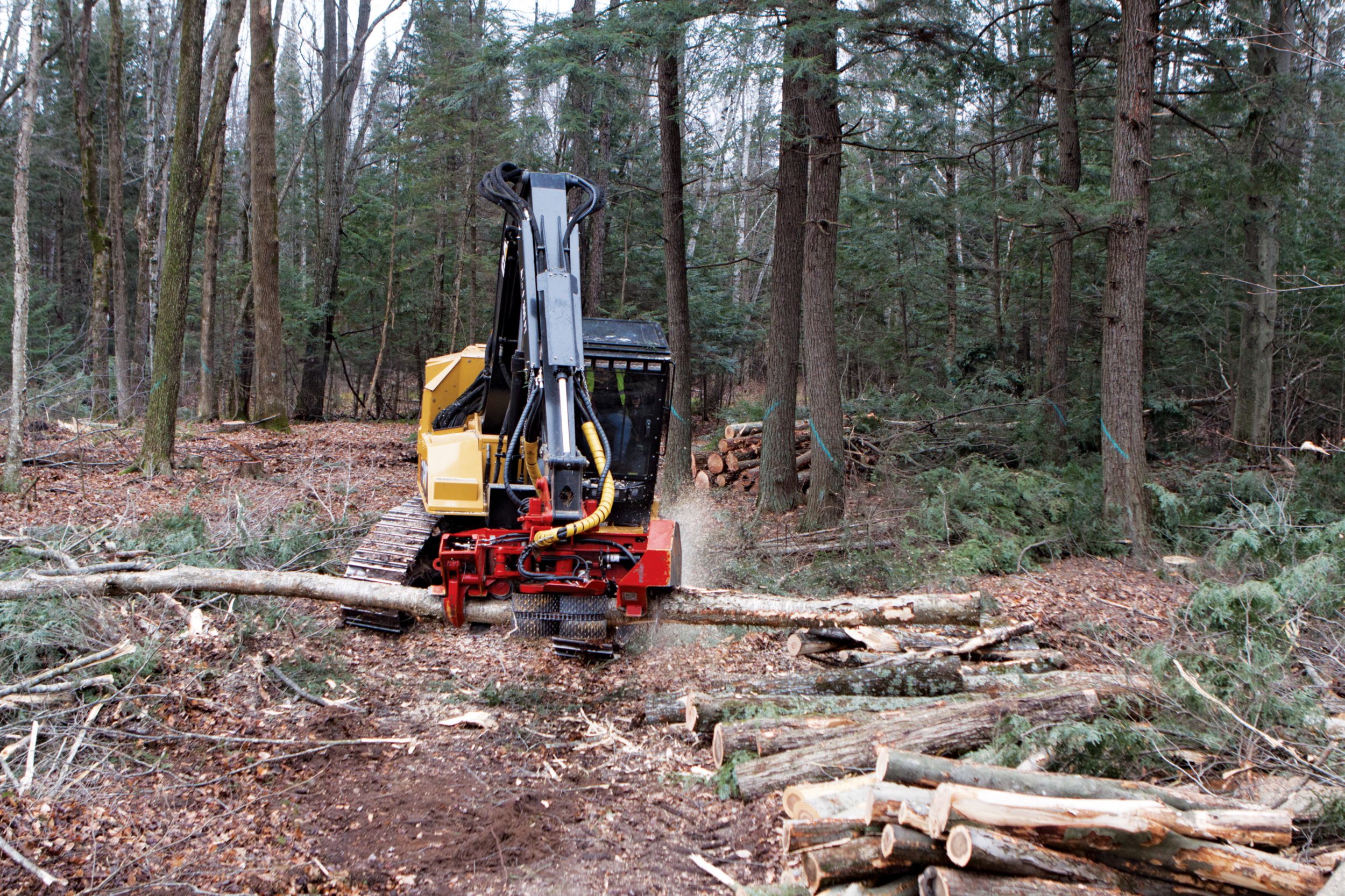 Cat 501HD Track Harvesters | Caterpillar