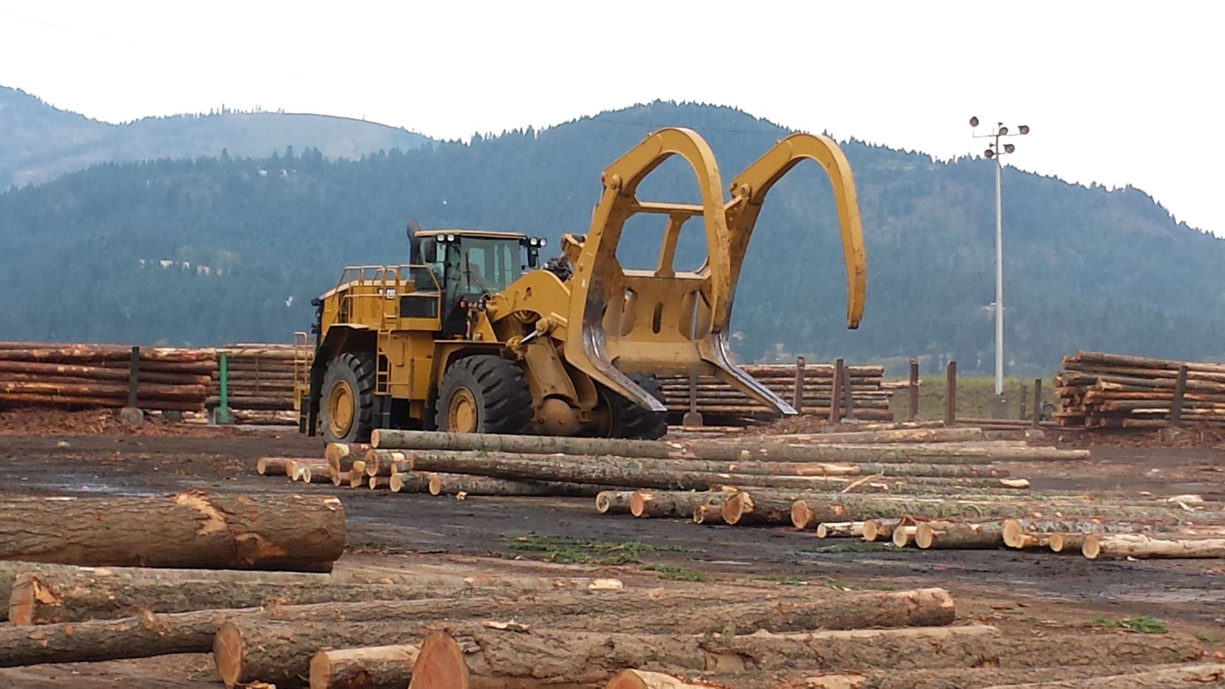 988 Cat Log Loader