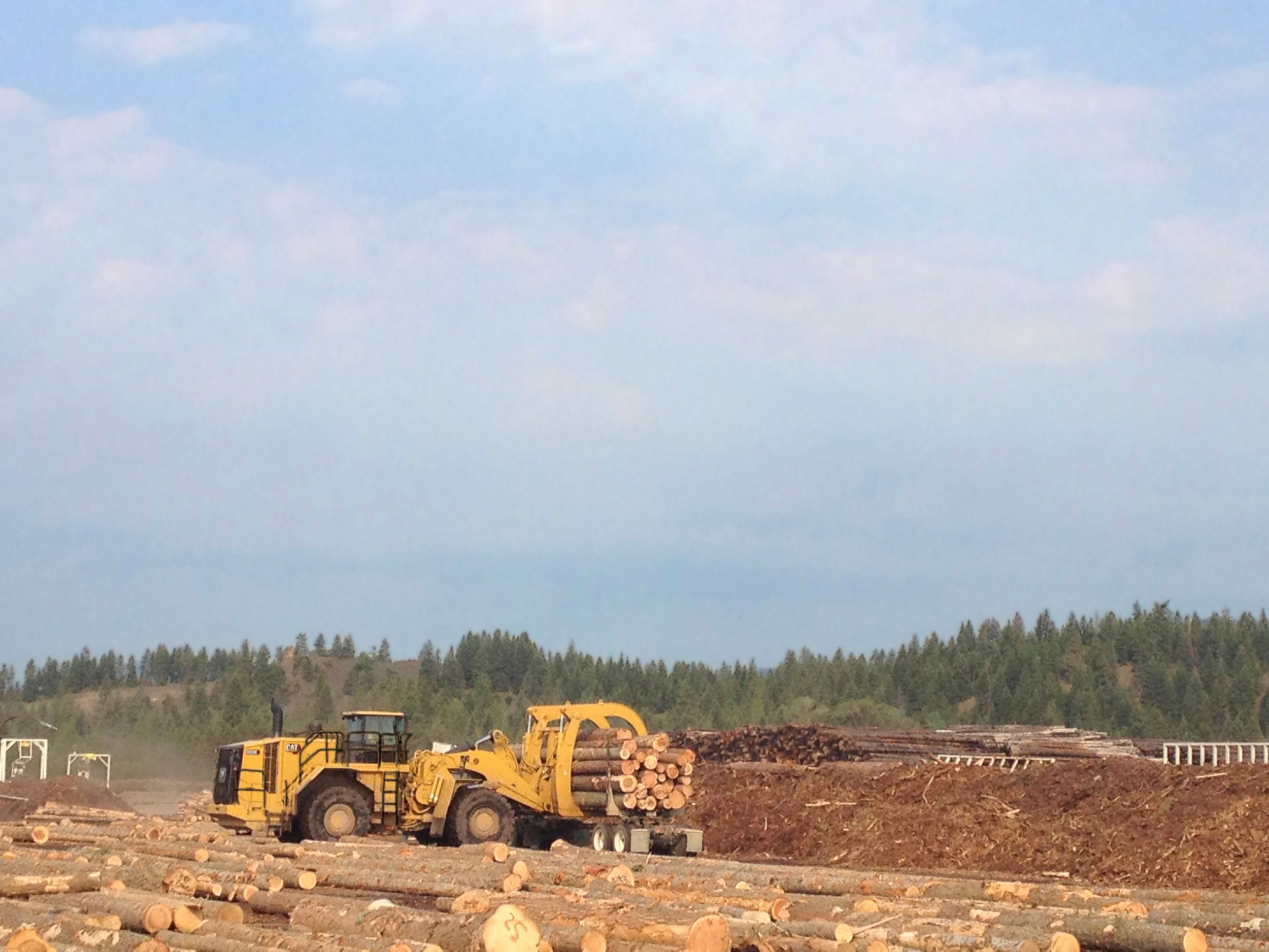 988 Cat Log Loader