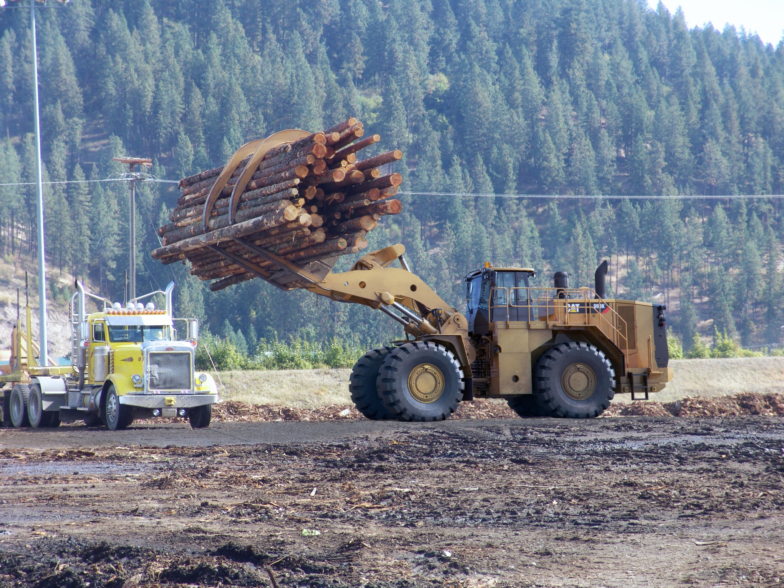 988 Cat Log Loader