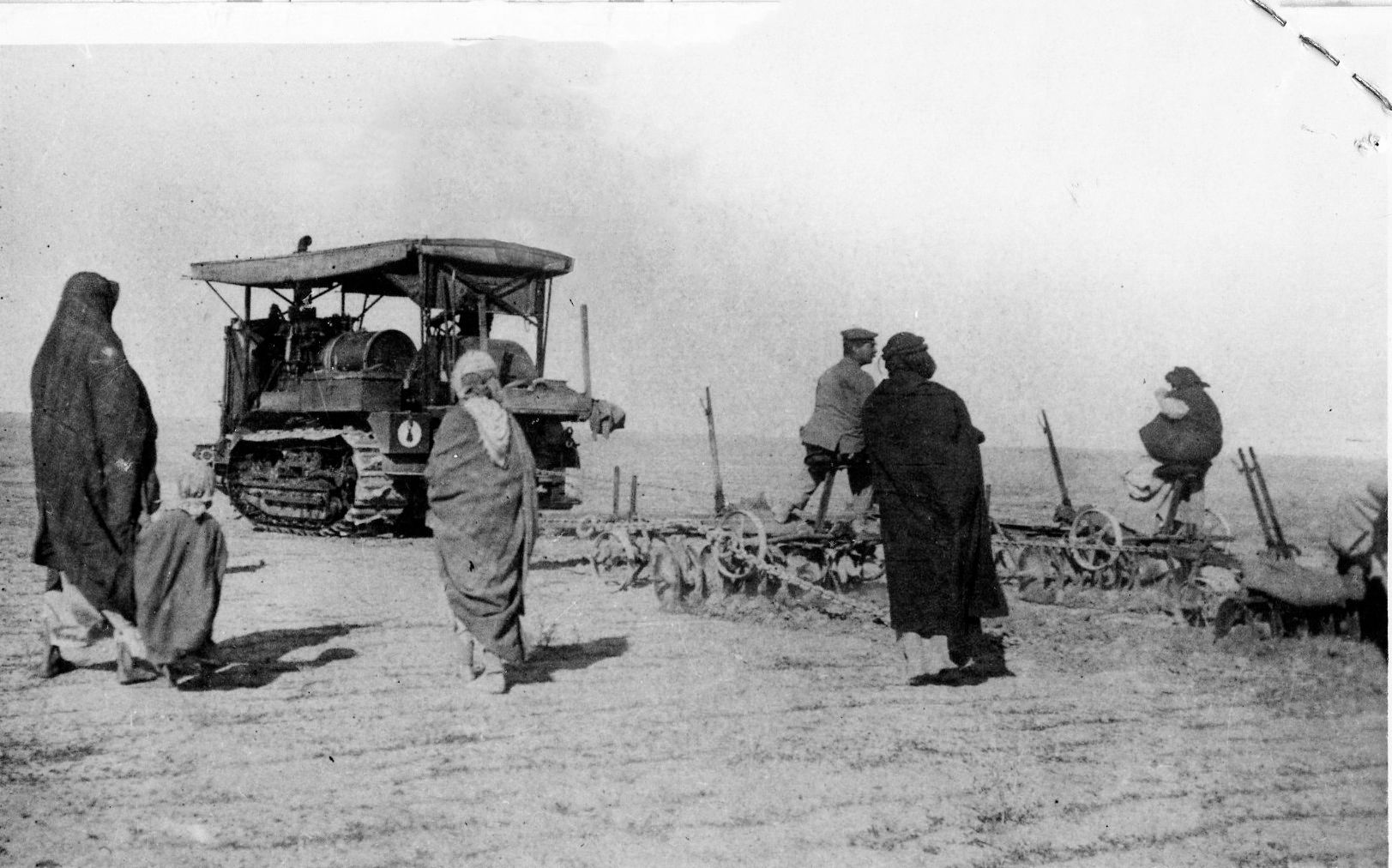 Caterpillar | History