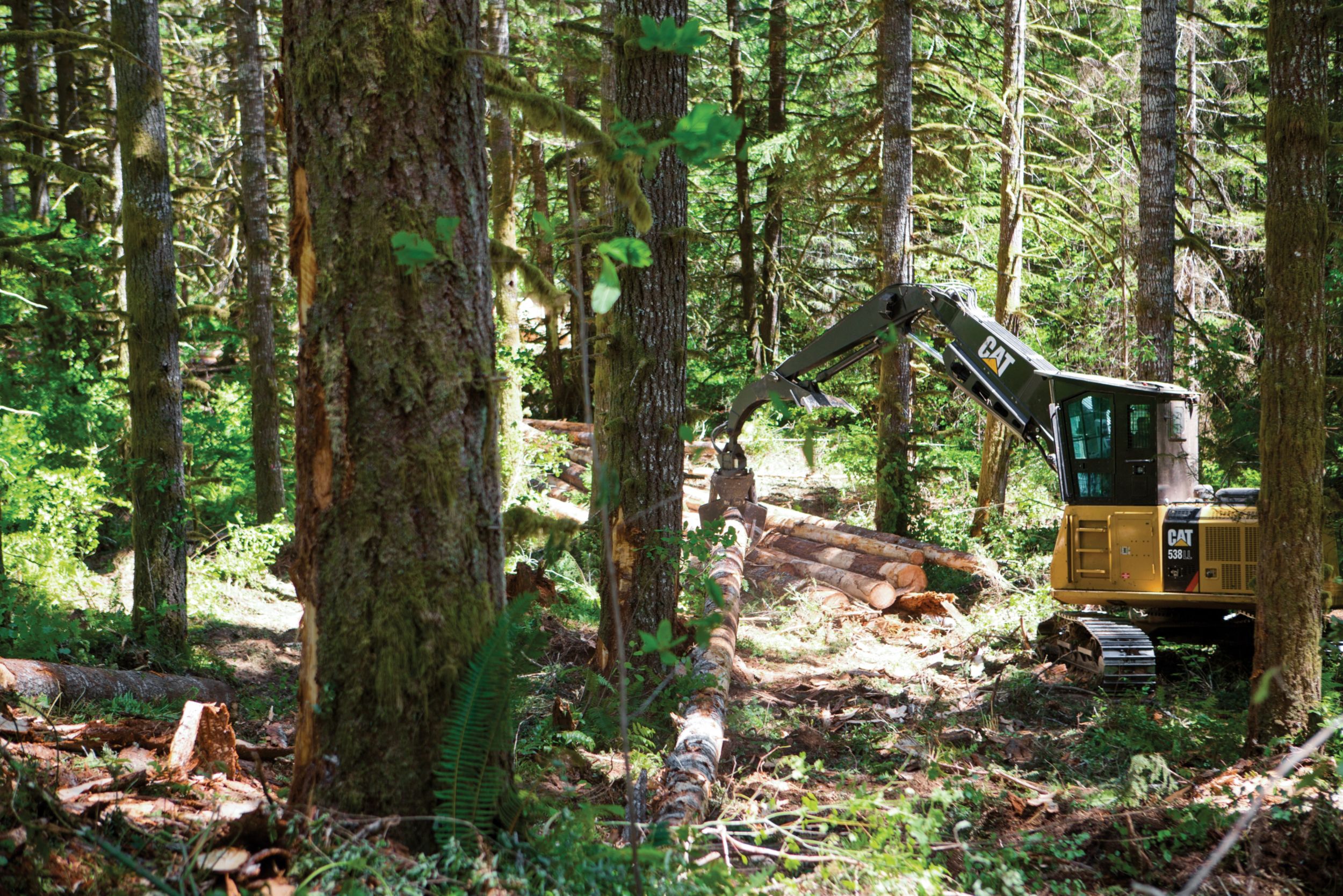 Cat | 538/538 LL Forest Machine | Caterpillar