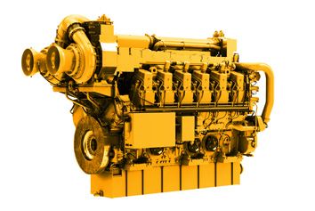 Heart and soul | Cat | Caterpillar