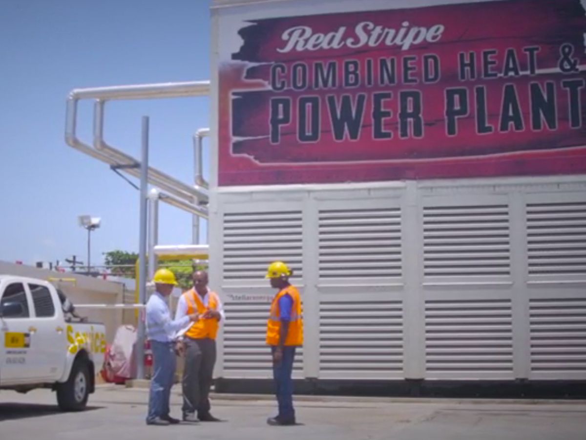 Red Stripe Lager has been Using Waste Heat to Reduce Costs | Cat ...