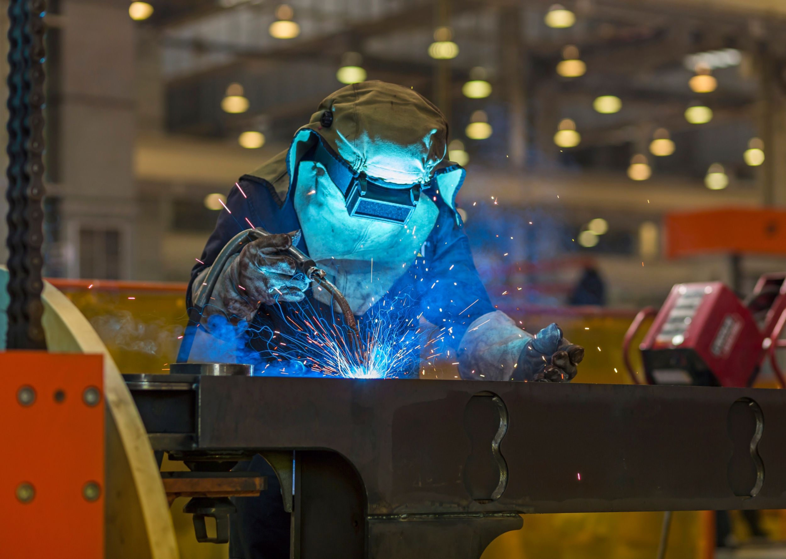 AD63 - Hawthorne Cat