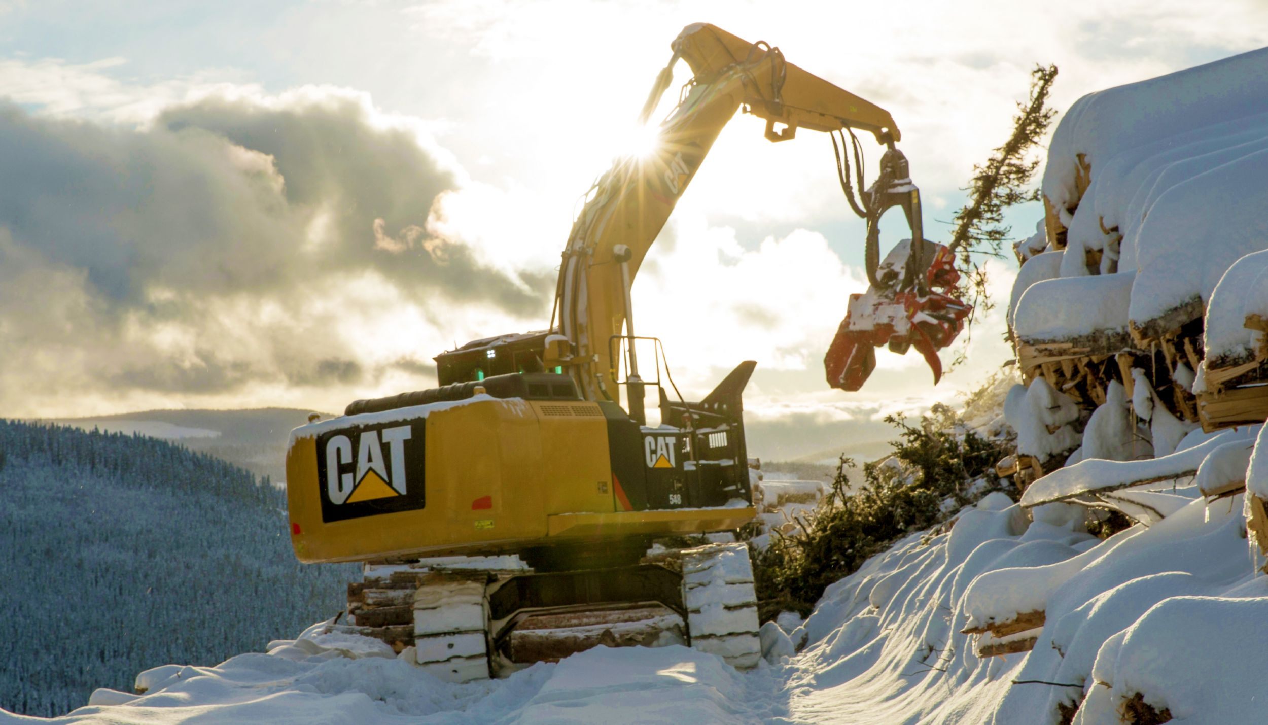 Cat 548 Forest Machines | Caterpillar