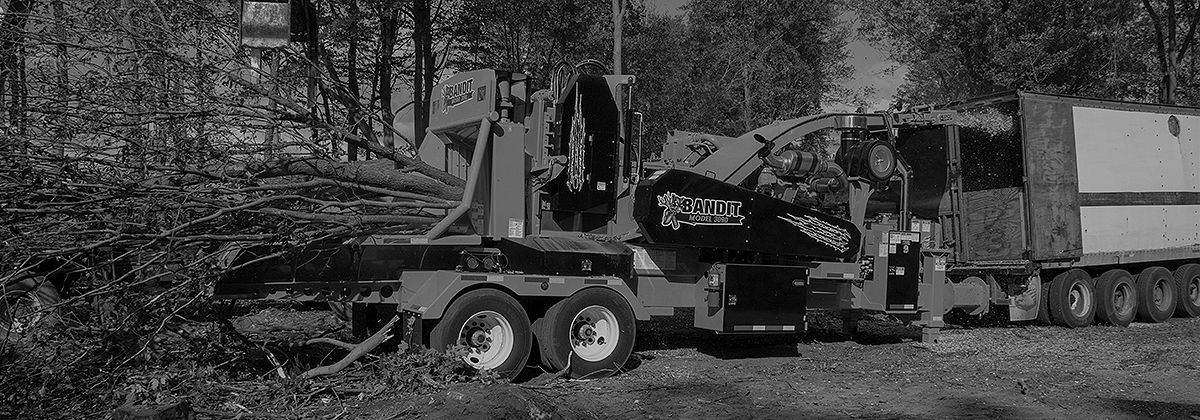 Industrial | Riggs Cat Equipment