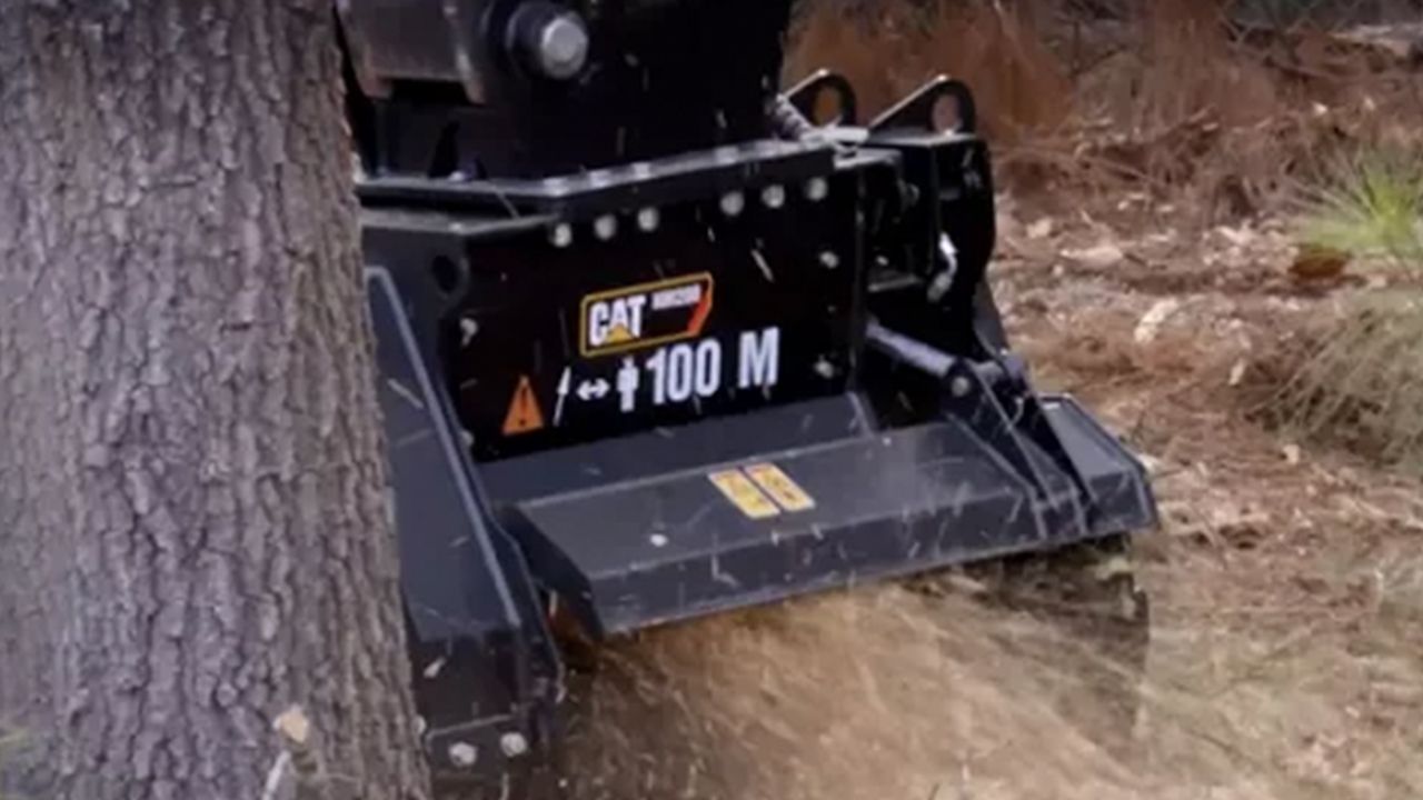 This is the Only Mulcher You Need | Cat | Caterpillar