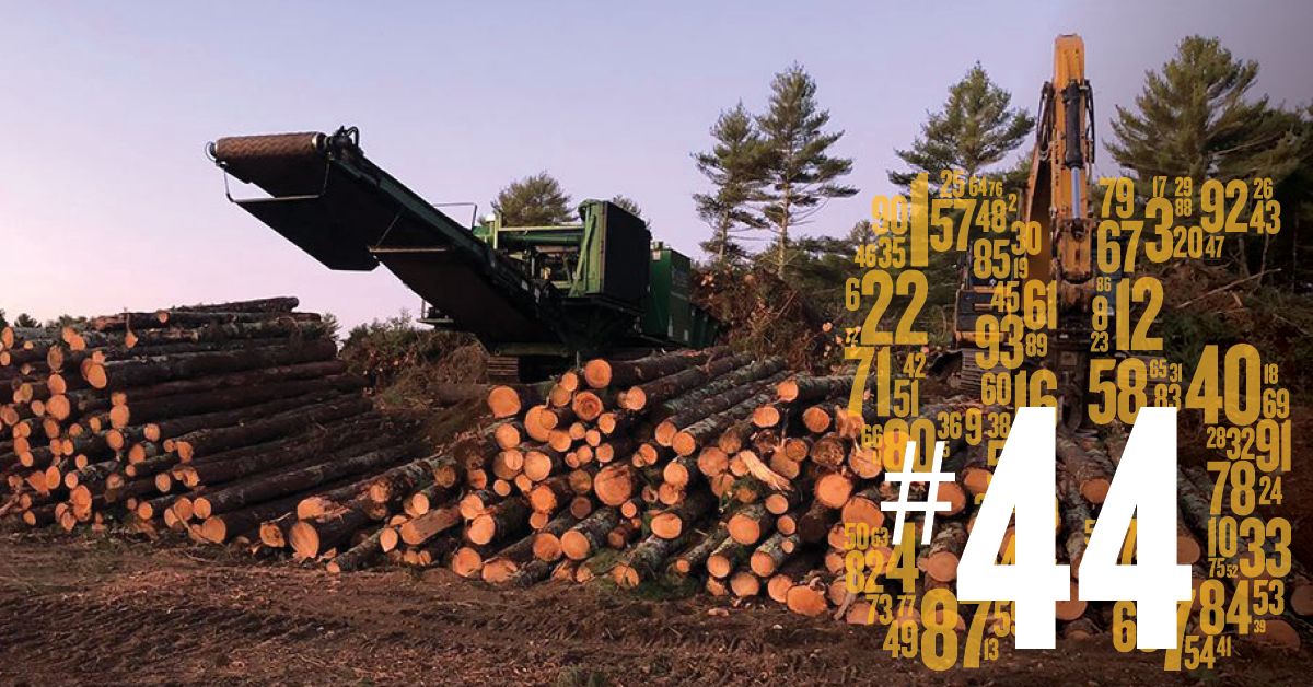 Clearing the Way for Sustainable Energy Solutions | Cat | Caterpillar