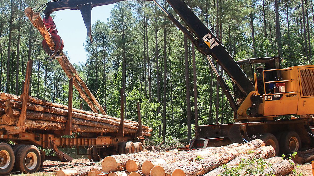 After Just a Few Years In Logging, Kip Smith is Quickly Making a Name ...