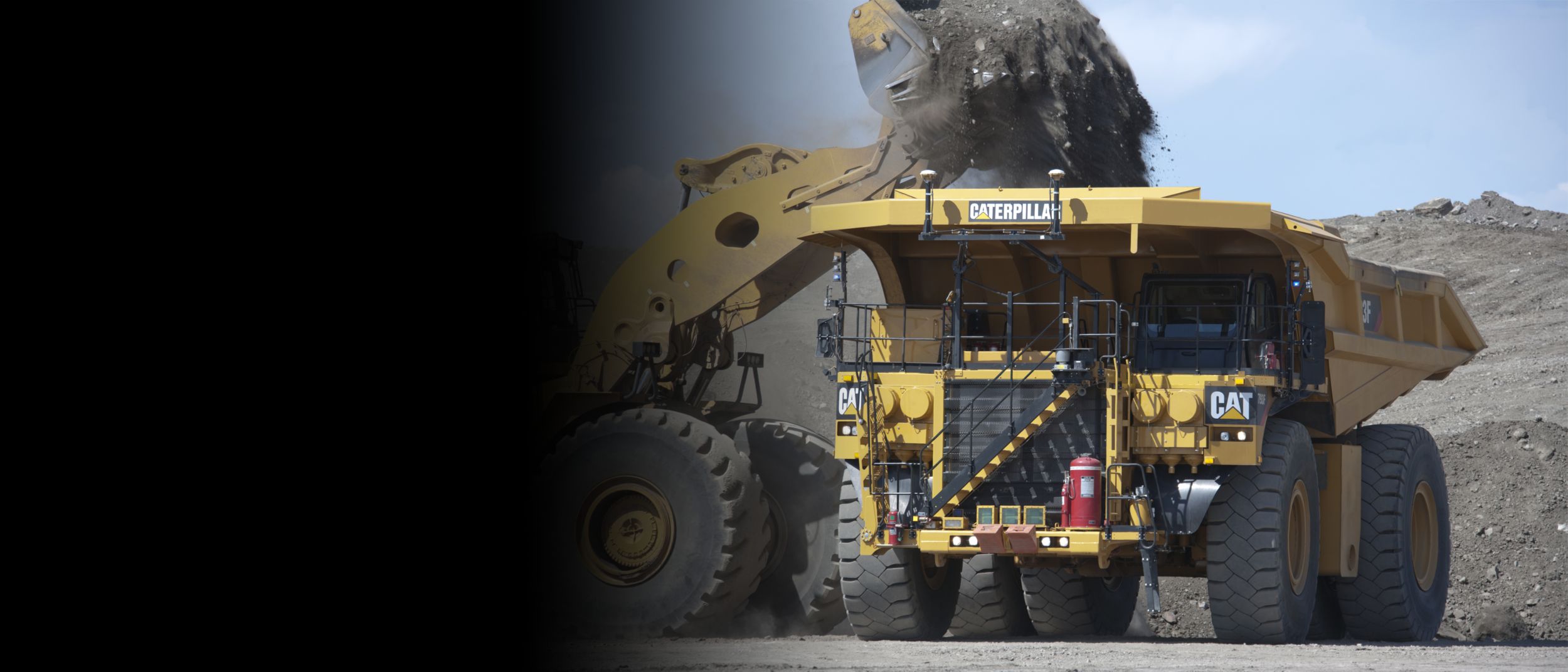 Caterpillar | Caterpillar