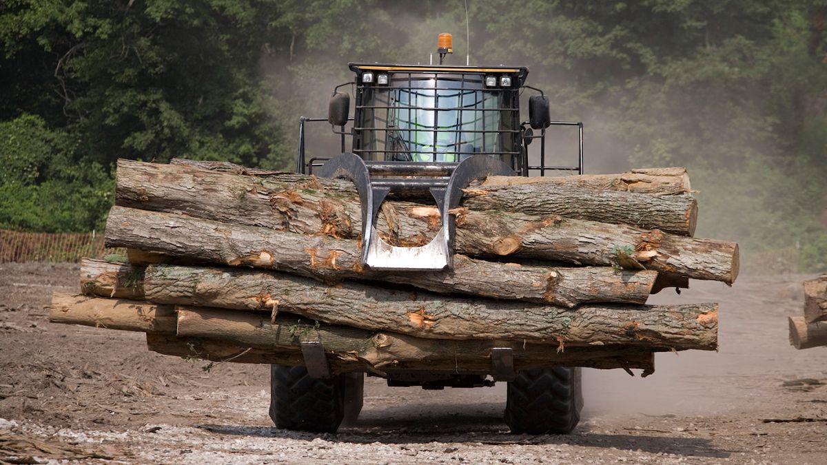 Cat® Wheel Loader Forks For Any Job | Cat | Caterpillar