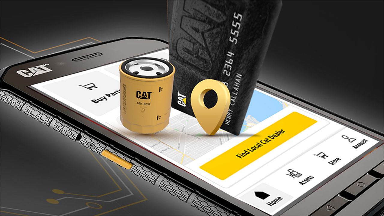 Behind the Screen: A Sit down With a Developer of Cat Central | Cat ...