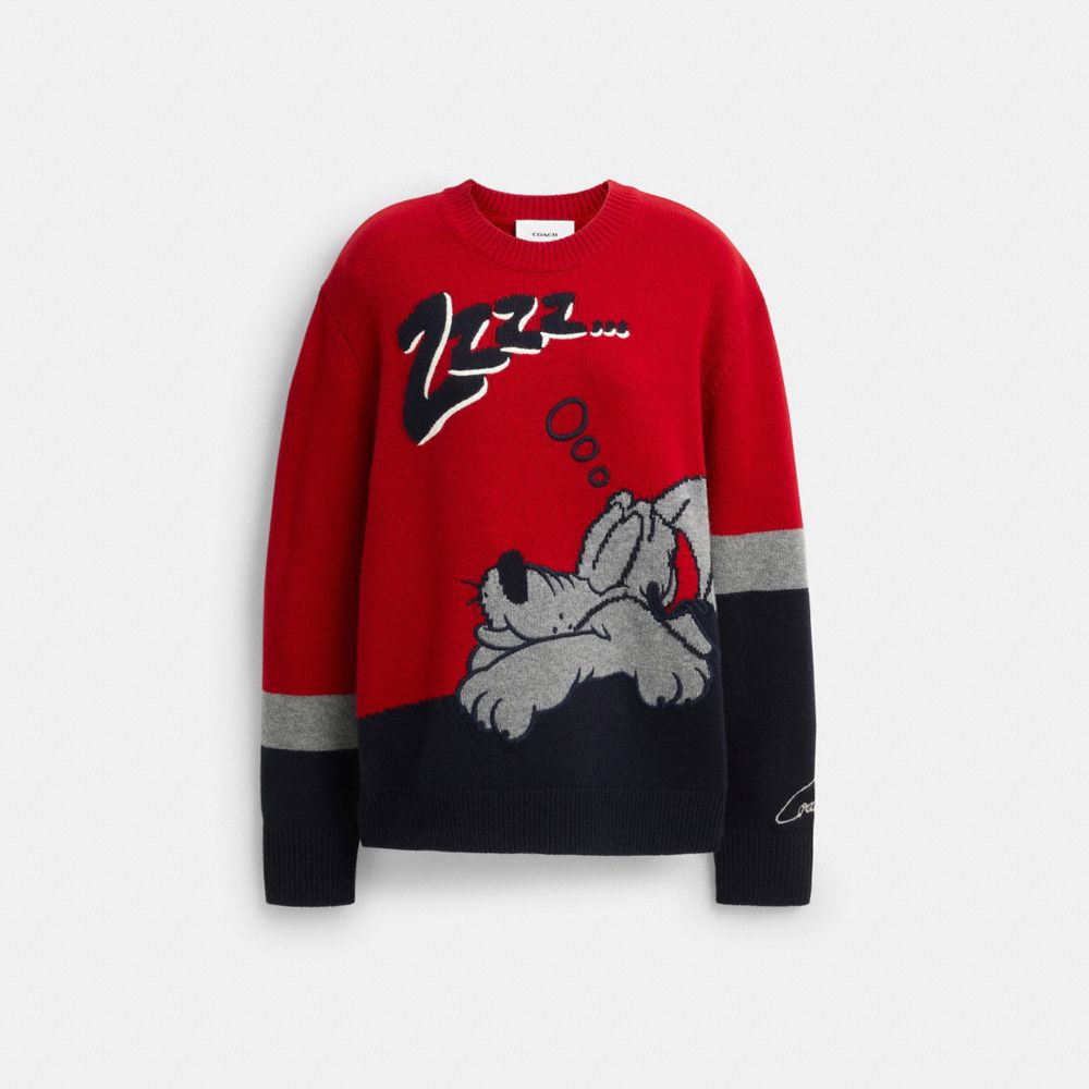 DISNEY X COACH PLUTO CREWNECK SWEATER