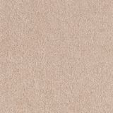 Dolphin Carpet & Tile