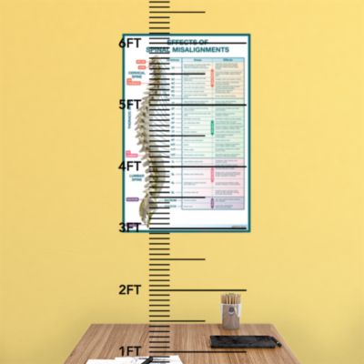 Simplified Heart Labeled Decal | Shop Fathead Anatomical Images Graphics